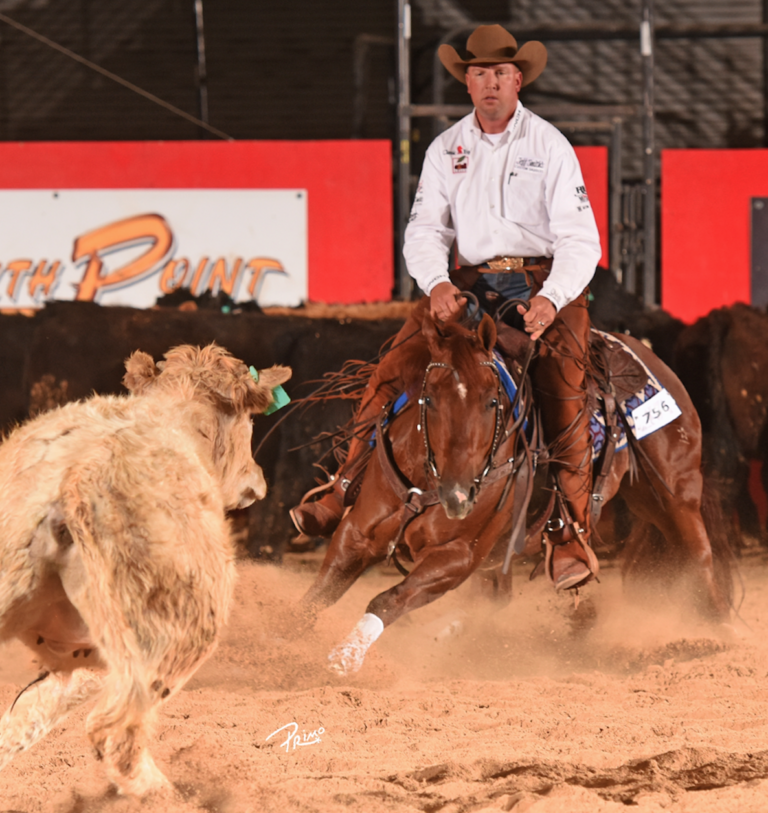 SJR Diamond Rey and Corey Cushing Win 2016 NRCHA Stallion Stakes Open ...