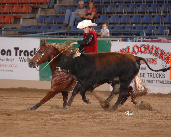 Youth Bridle & Youth Limited Champions Crowned at NRCHA Snaffle Bit ...