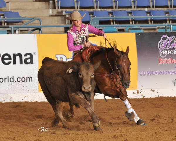 Non-Pro Horse Show Champions Crowned at 2013 NRCHA Snaffle Bit Futurity ...