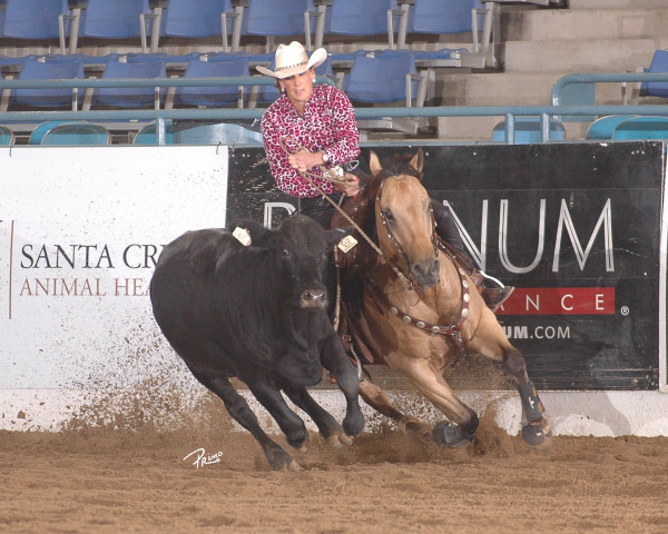 Non-Pro Horse Show Champions Crowned at 2013 NRCHA Snaffle Bit Futurity ...