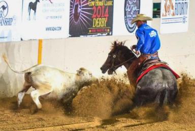 Hickory Holly Time and Kelby Phillips Win NRCHA Derby Open Championship ...
