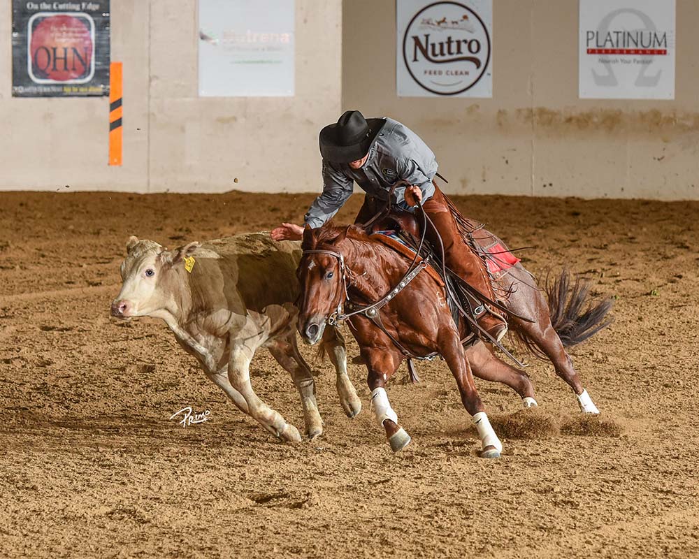 Shiners Diamond Cat & Justin Wright Capture the 2018 NRCHA Derby Open ...