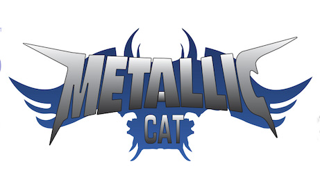 METALLIC CAT TOPS ALL-TIME LEADING NRCHA SIRE LIST | National Reined ...