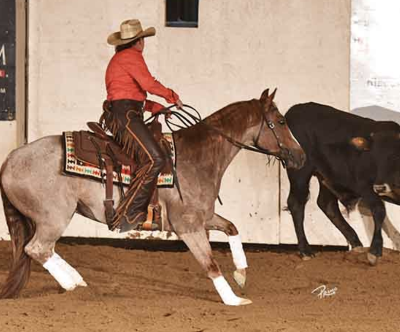 NRCHA Formalizes Box-Drive Class Beginning in 2022 - National Reined ...