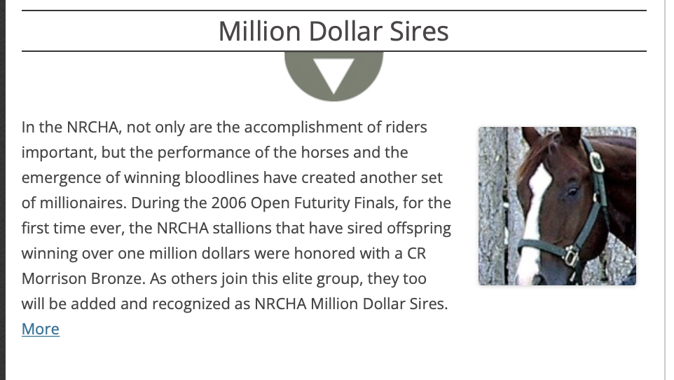 Dual Smart Rey and Woody Be Tuff join NRCHA Million Dollar Sire Club ...