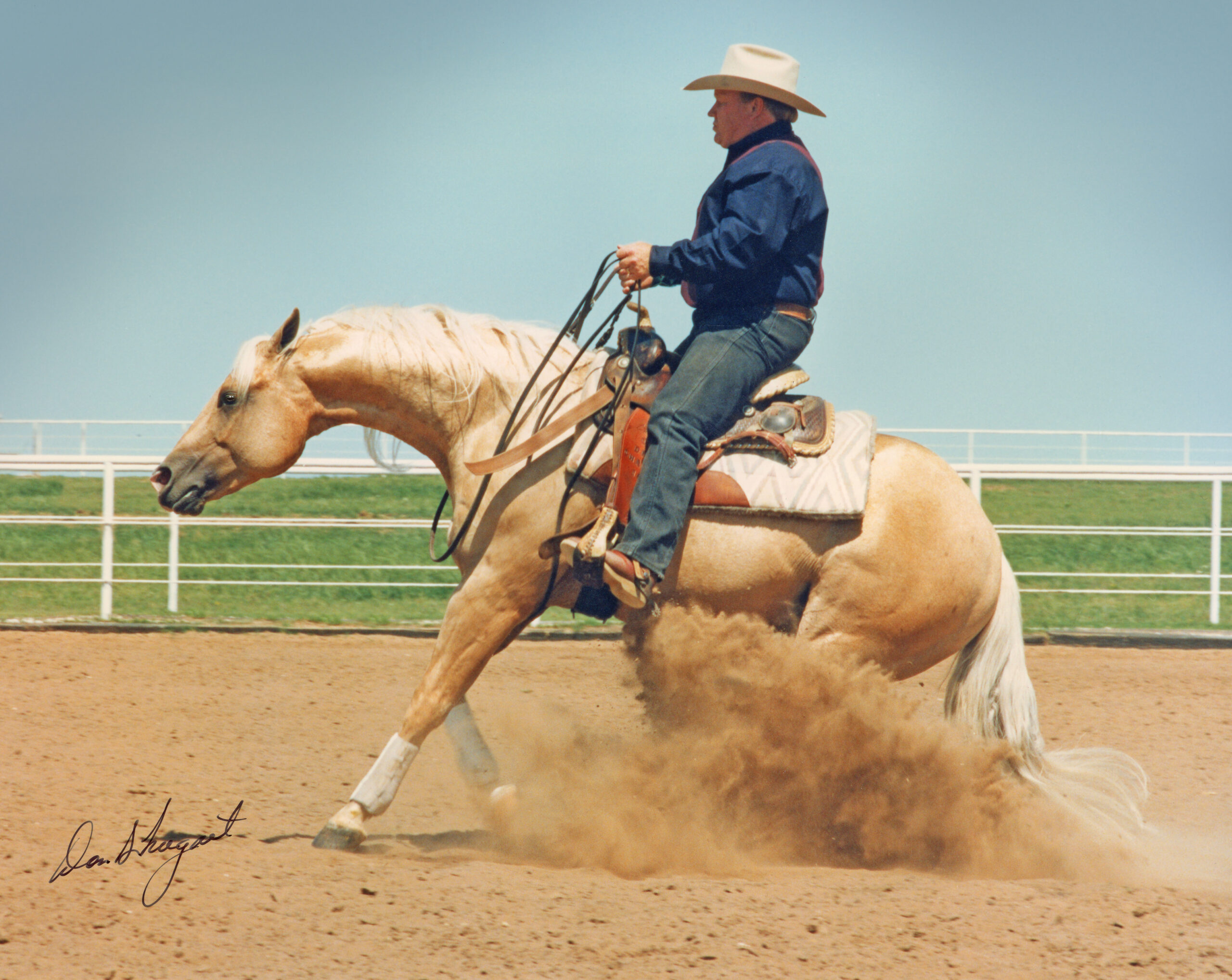 Shining Spark - National Reined Cow Horse Association