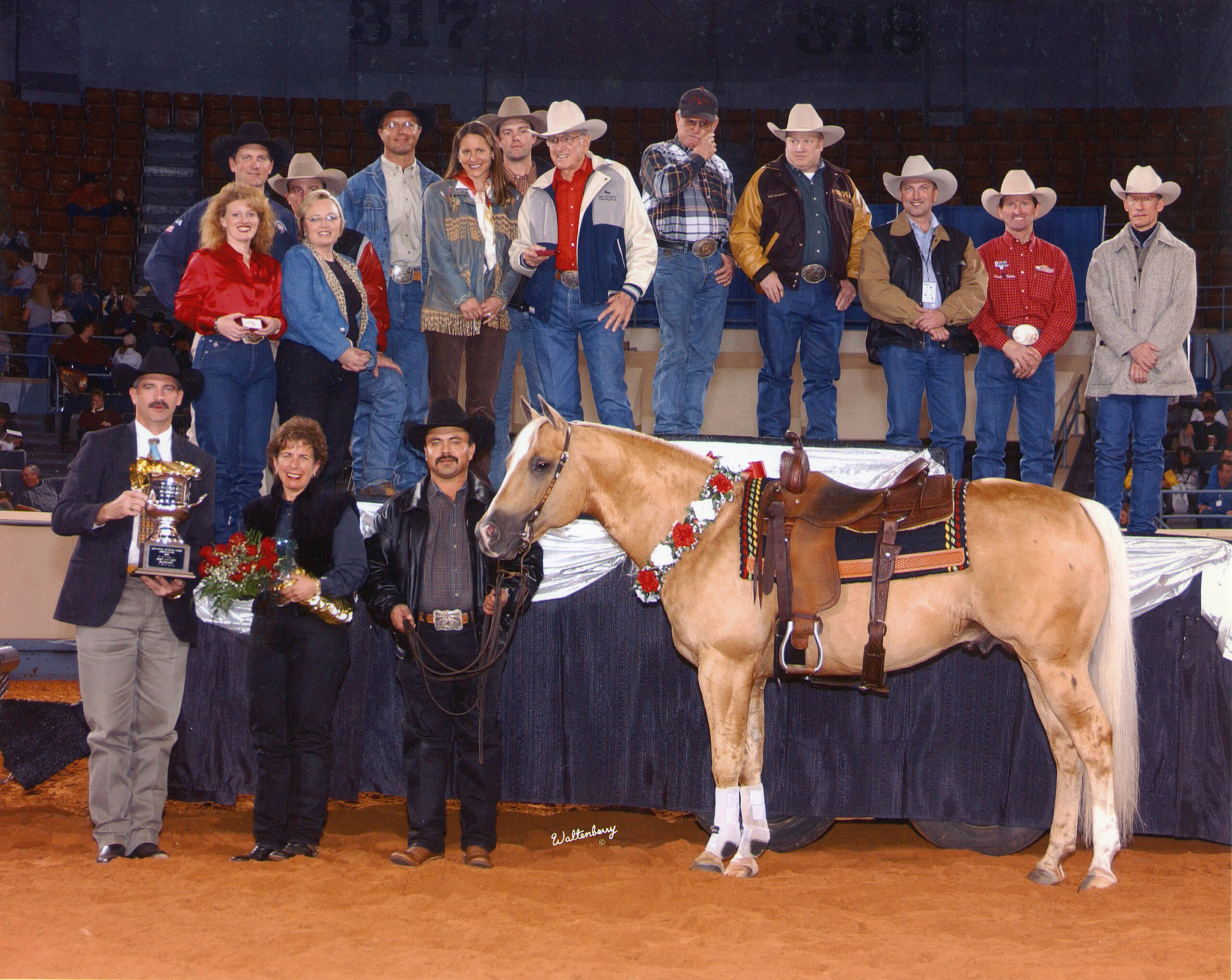 Shining Spark - National Reined Cow Horse Association