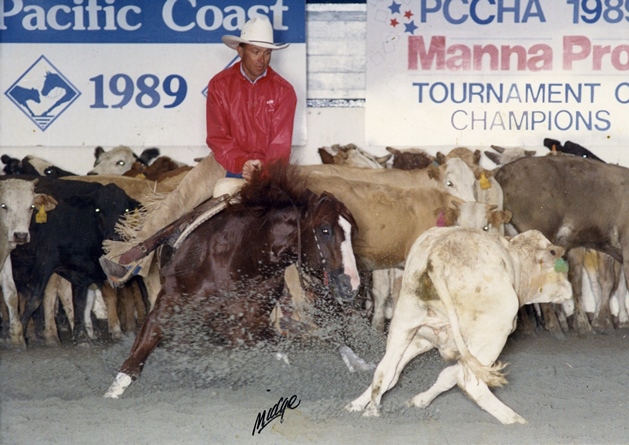 Nu Cash - National Reined Cow Horse Association