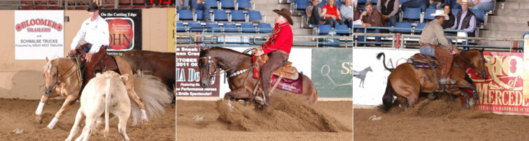 NRCHA Snaffle Bit Futurity® Champions - National Reined Cowhorse Assocation
