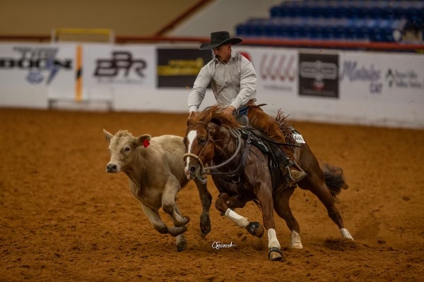 NICK DOWERS CROSSES MILLION DOLLAR MARK IN THE NRCHA | National Reined ...