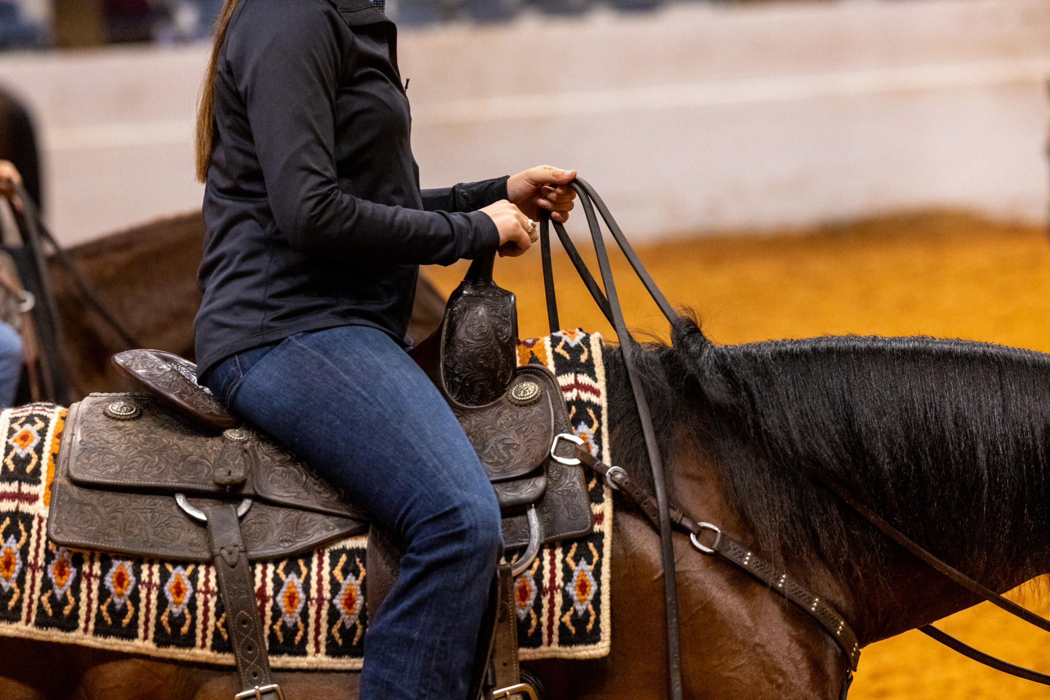 Get Started - National Reined Cowhorse Assocation