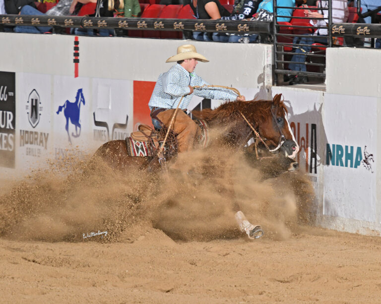 Cowboy Class - National Reined Cowhorse Assocation