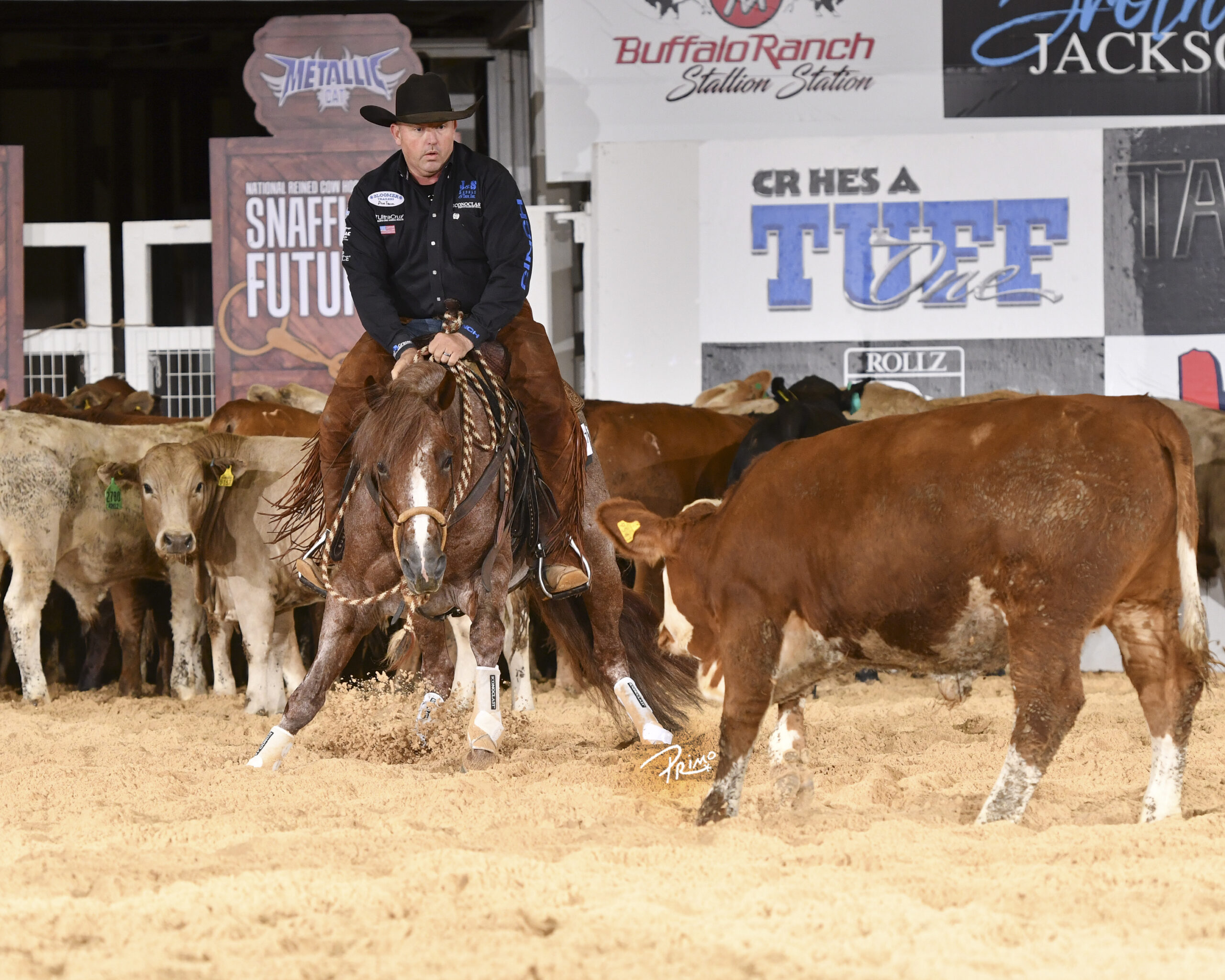 The Sport - National Reined Cowhorse Assocation