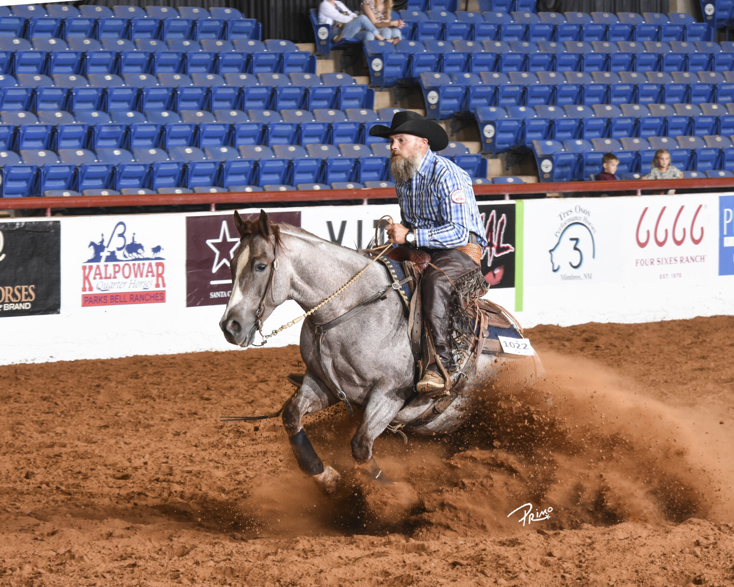 The Sport - National Reined Cowhorse Assocation