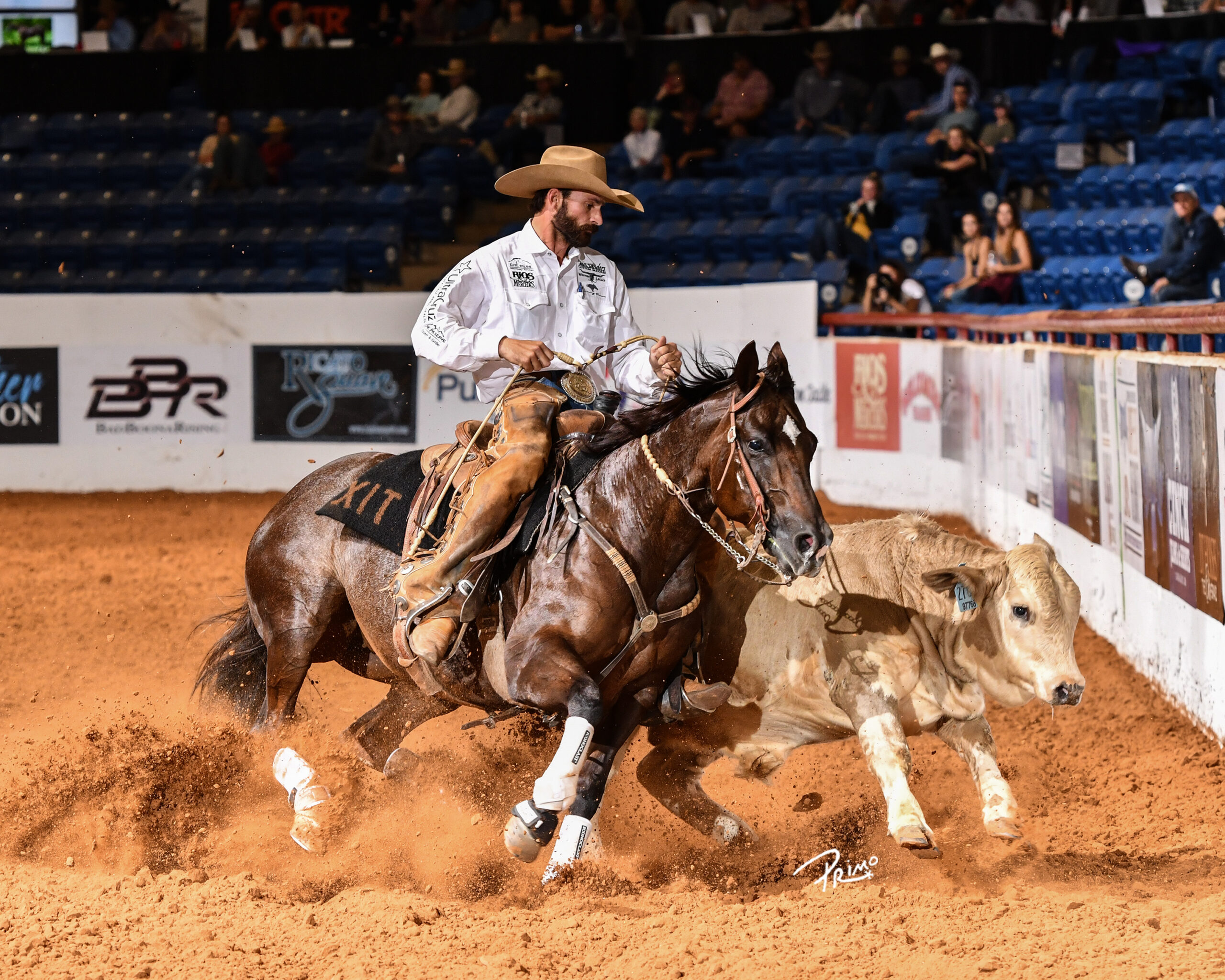 The Sport - National Reined Cowhorse Assocation