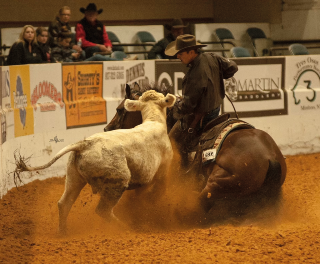CSR Lay Down Sally - National Reined Cow Horse Association