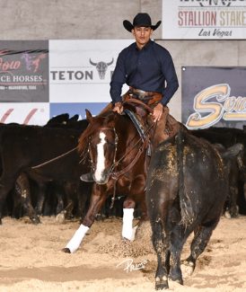 Silva Sweeps the Non Pro Derby Titles - National Reined Cow Horse ...