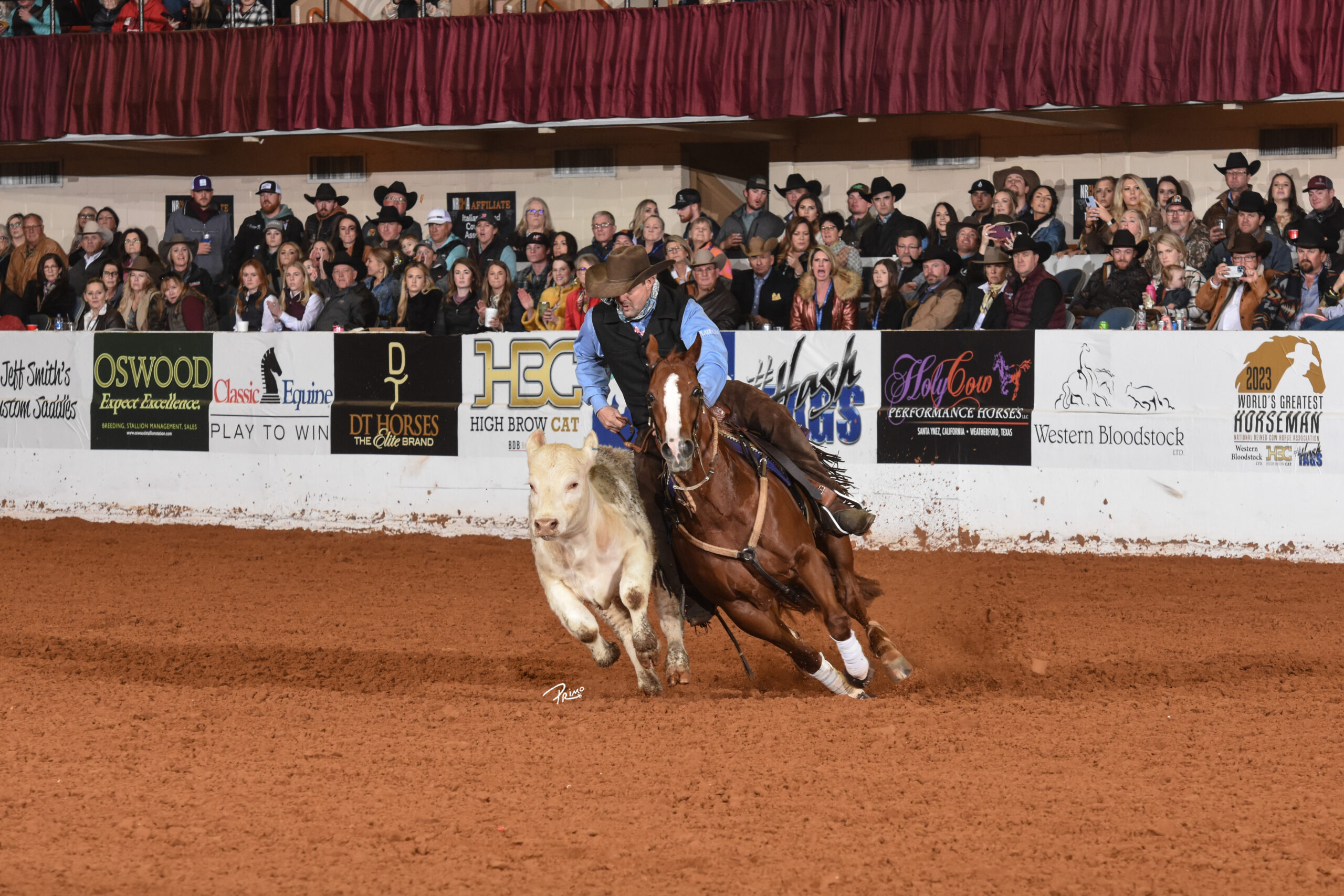 Reyzinette - National Reined Cow Horse Association