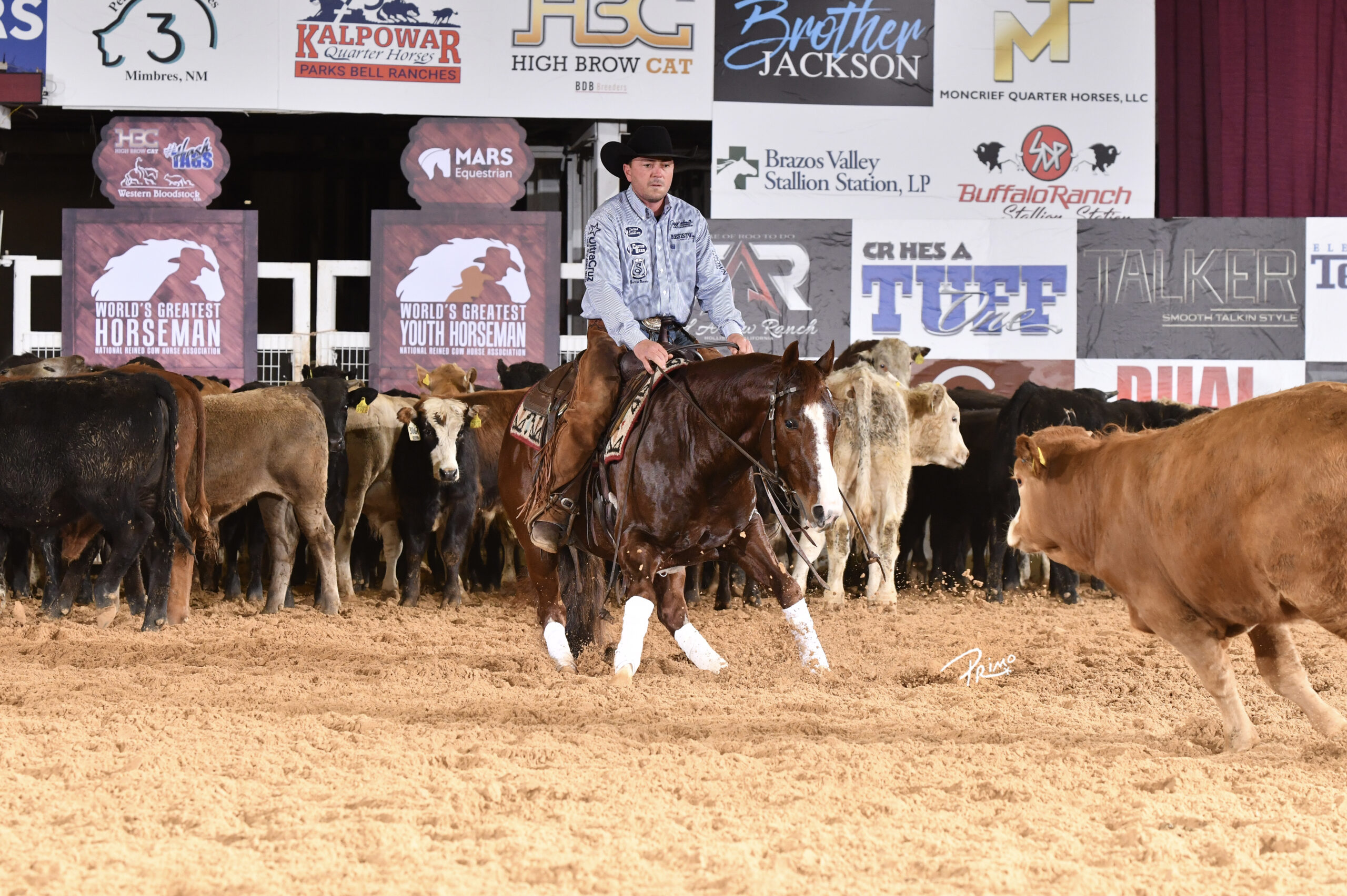 Stylin Metal - National Reined Cow Horse Association