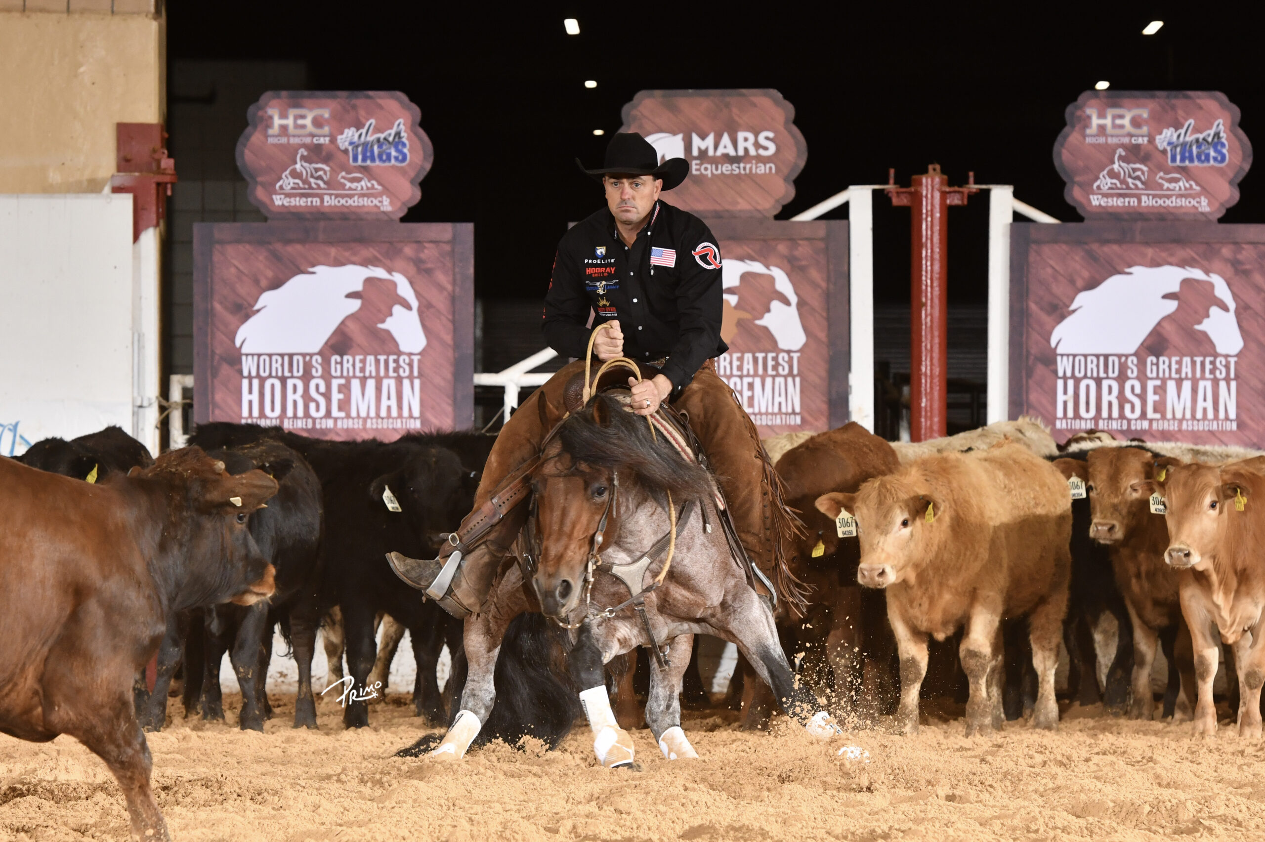 Call Me Mitch - National Reined Cow Horse Association