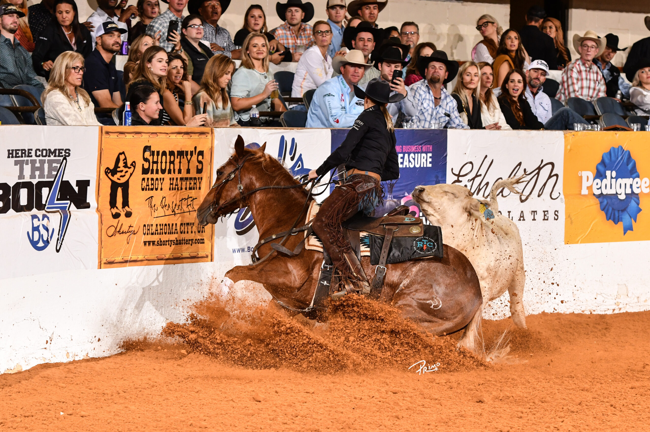 Cash Trades - National Reined Cow Horse Association