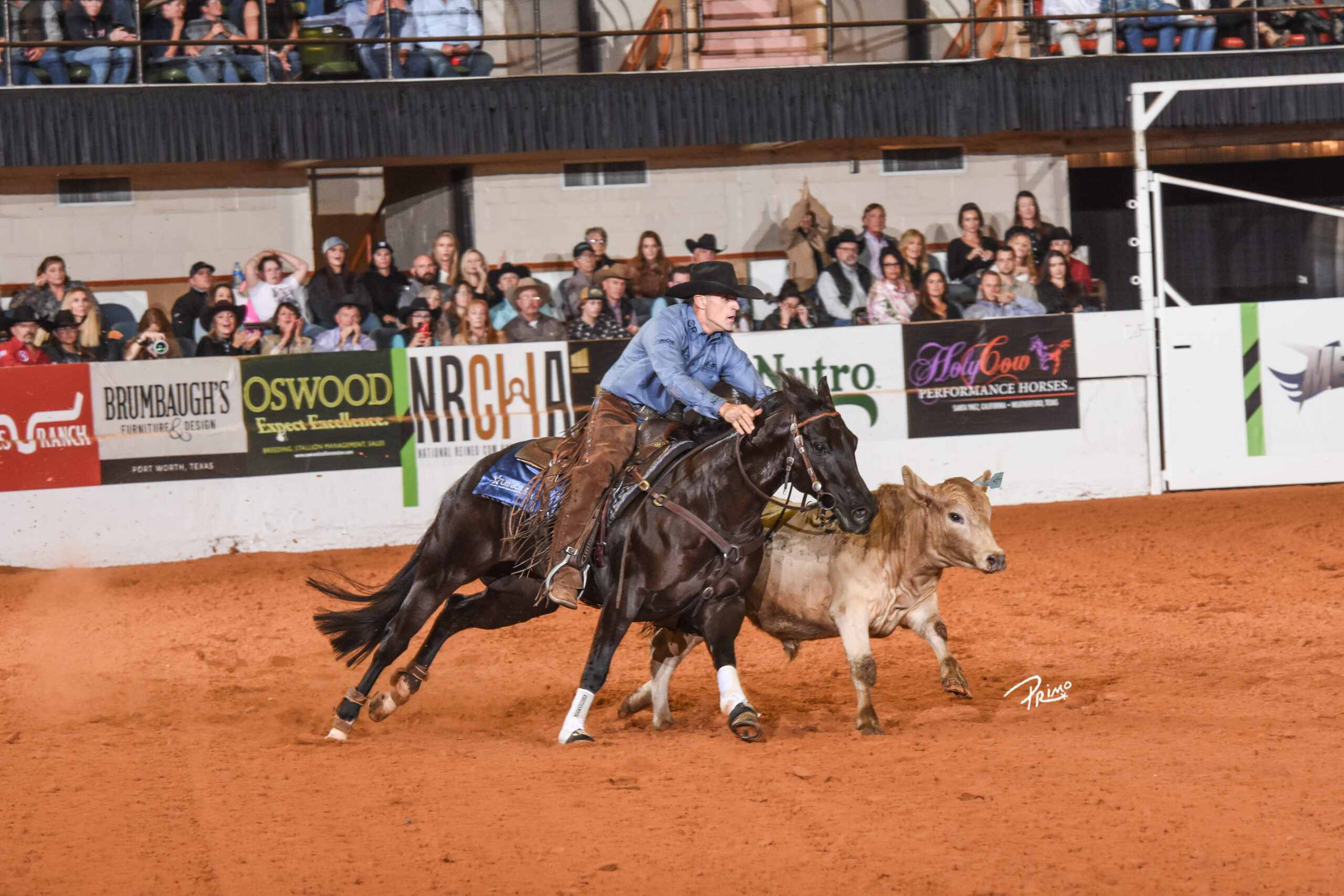 Paint It Blak - National Reined Cow Horse Association