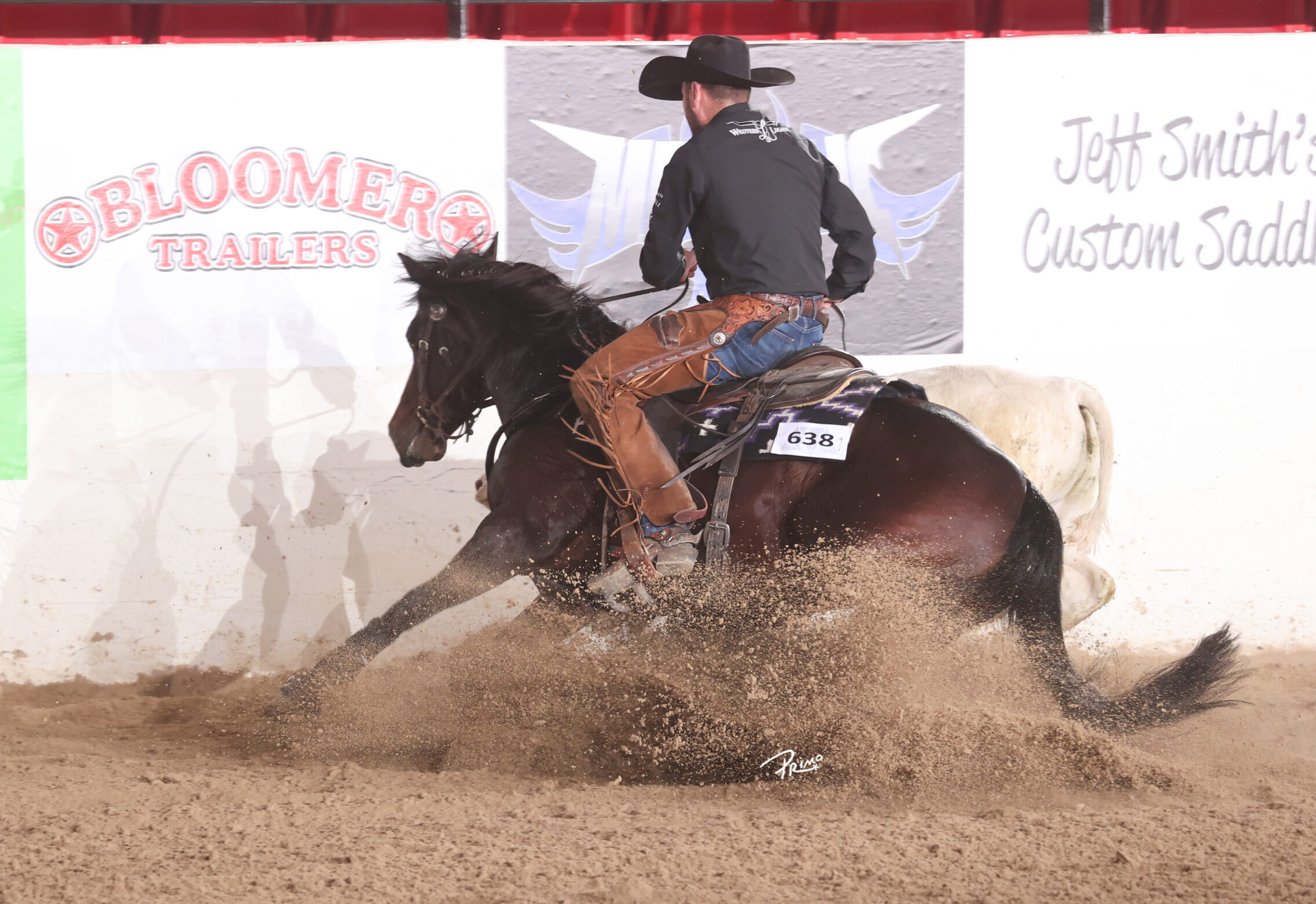Hicaliber Cat - National Reined Cow Horse Association