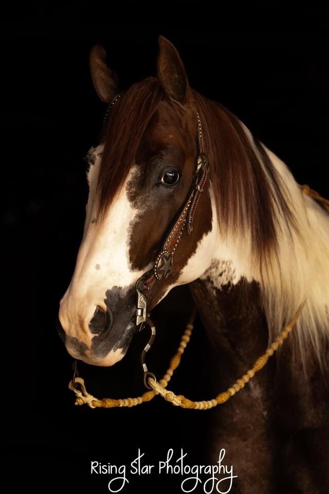 Delta Hellcat - National Reined Cow Horse Association