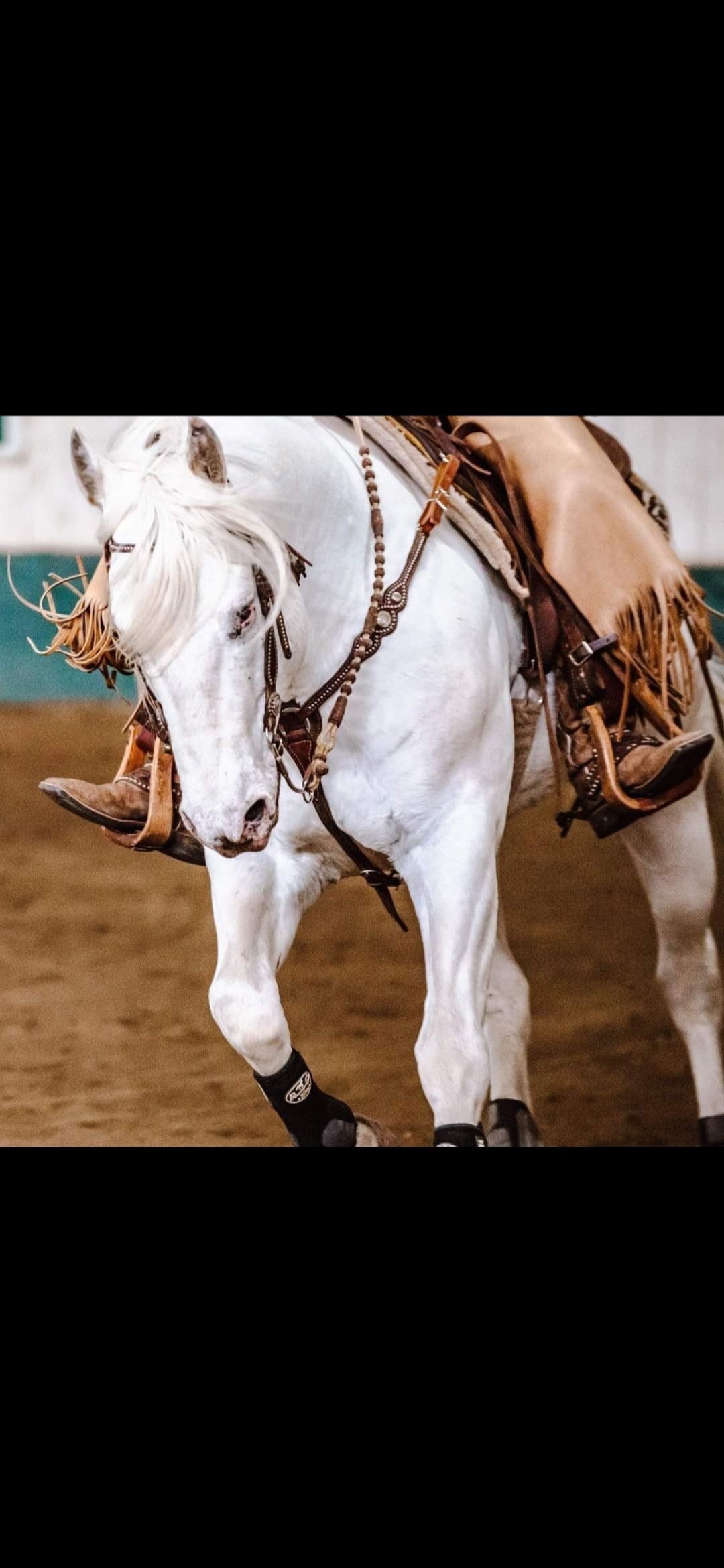 YOR the One - National Reined Cow Horse Association