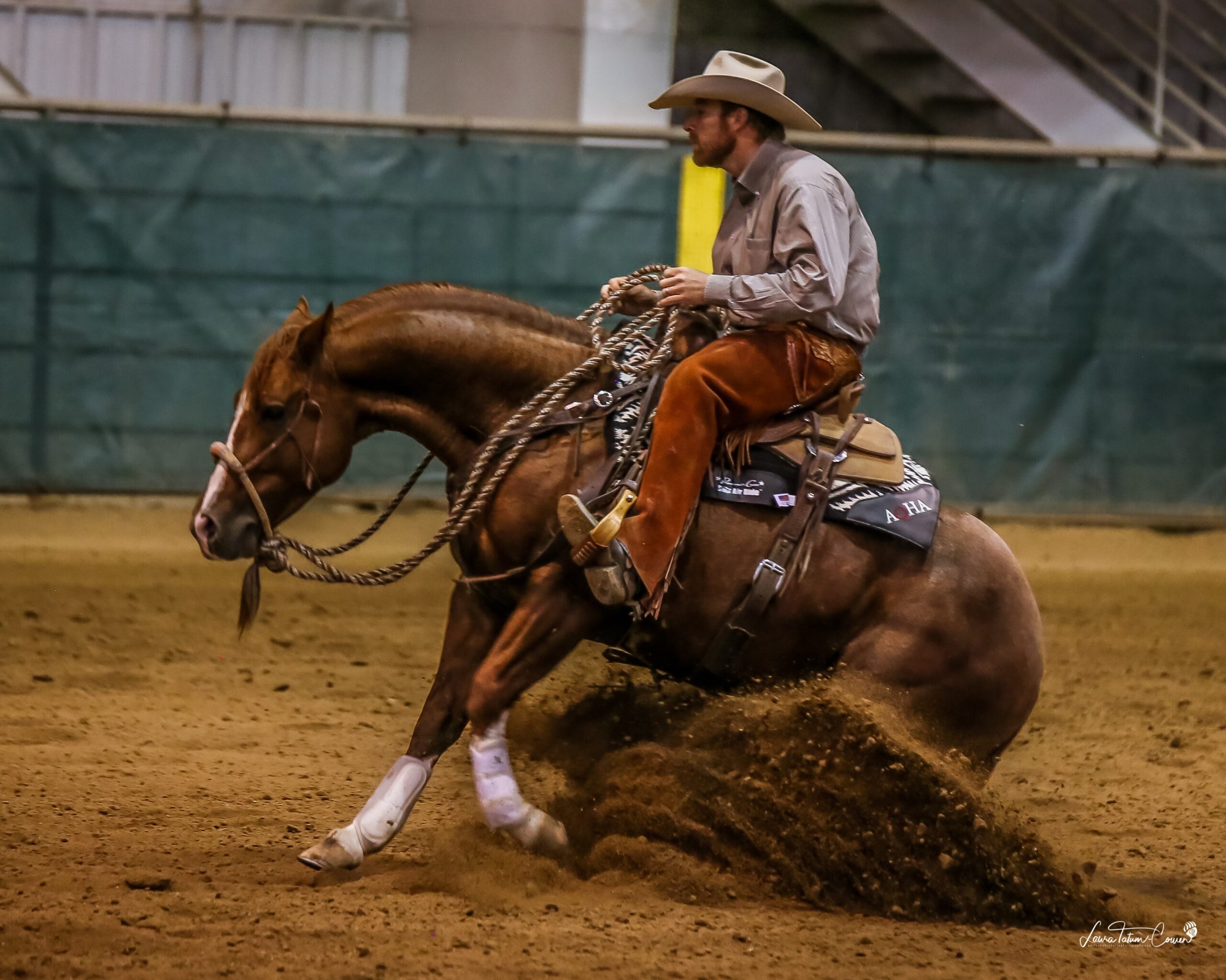 Metallic Masterpiece - National Reined Cow Horse Association