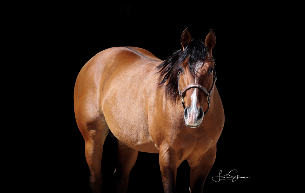 Purrn LikeASmoothCat - National Reined Cow Horse Association