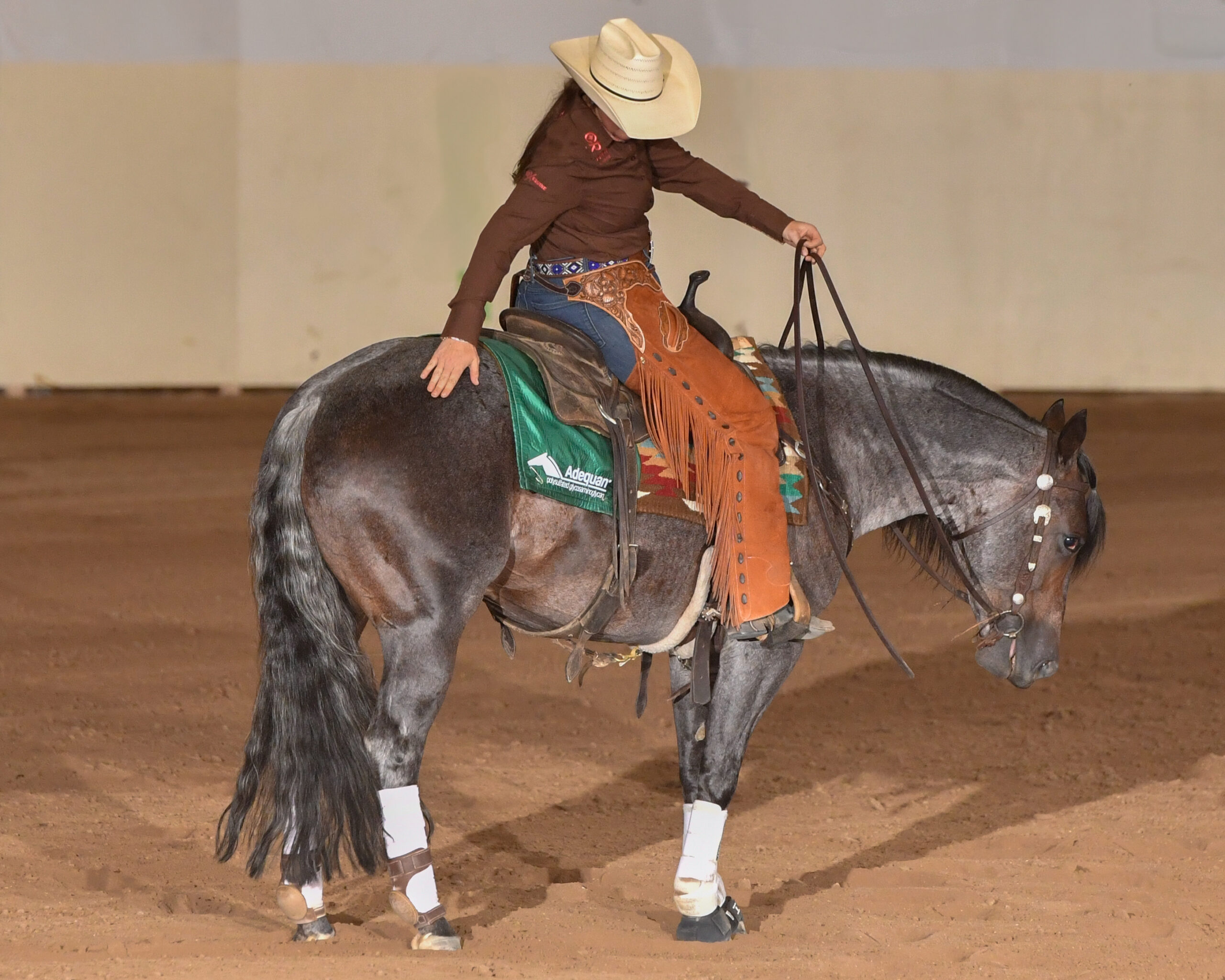 Adequan Grows Its Support of NRCHA - National Reined Cow Horse Association