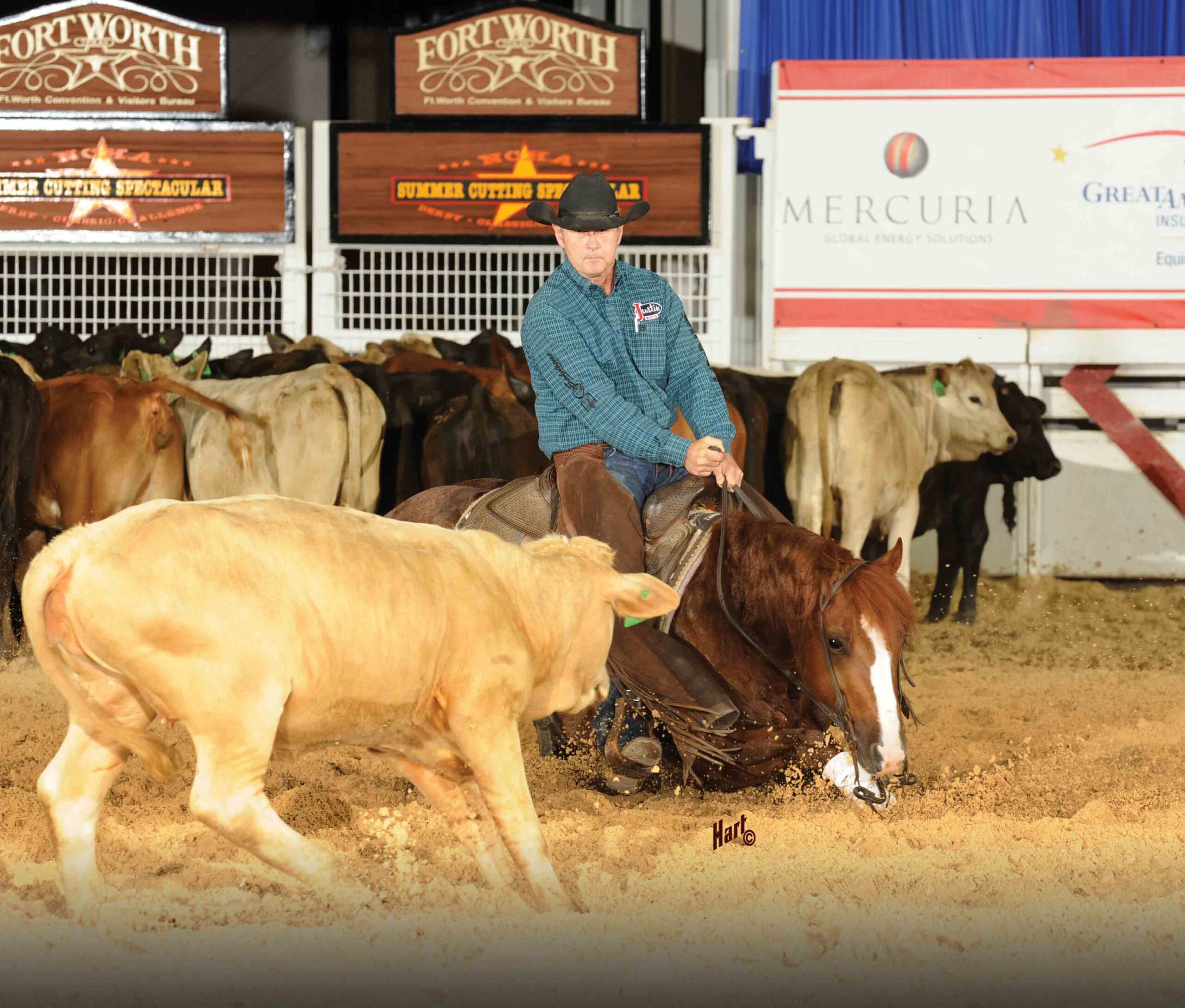 Hottish Reaches NRCHA Million Dollar Sire Milestone - National Reined ...