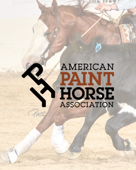 APHA Chrome Cash Awarded at Every 2026 NRCHA Premier Event - National ...